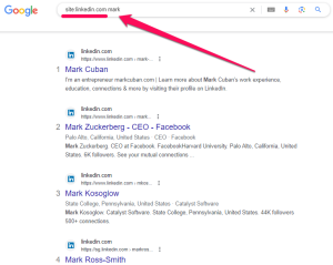 How To Search LinkedIn Profiles on Google in 2025 - viralspy