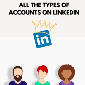 LinkedIn Account Types: Comparison & Use Cases [2024] - viralspy
